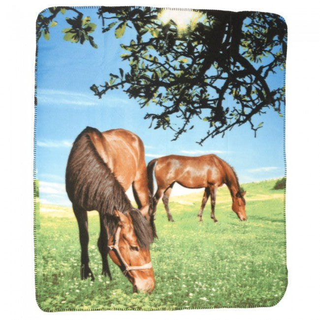 2 Horses in Pasture Blanket – Wild West Living