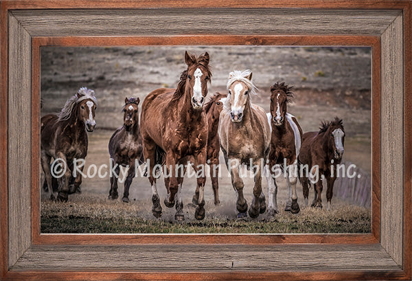 "Running Wild" Western Framed Canvas Print – Wild West Living