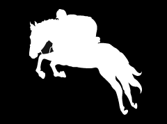 "Rider 6" High Performance Vinyl Decal – Wild West Living