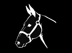 "Mule Head" High Performance Vinyl Decal – Wild West Living