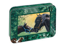 Western Card Sets – Wild West Living